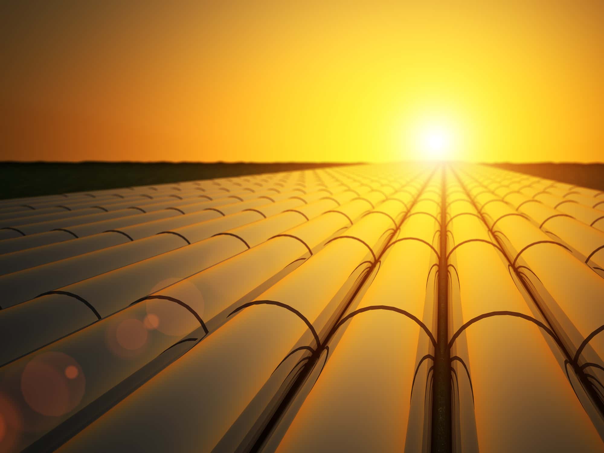 Paz Oil Company Ltd. - Goldfarb Gross Seligman